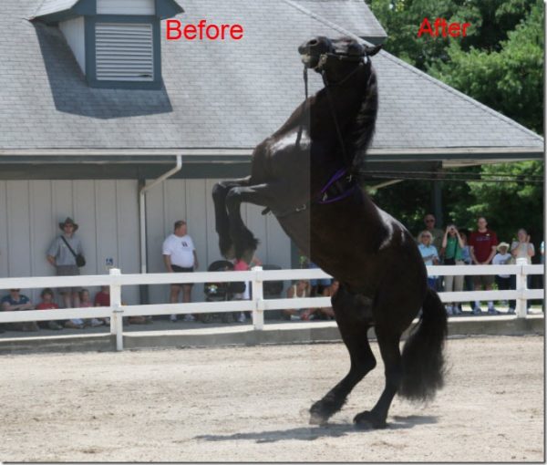 Learn Everything About Status Bar in Photoshop - TrickyPhotoshop