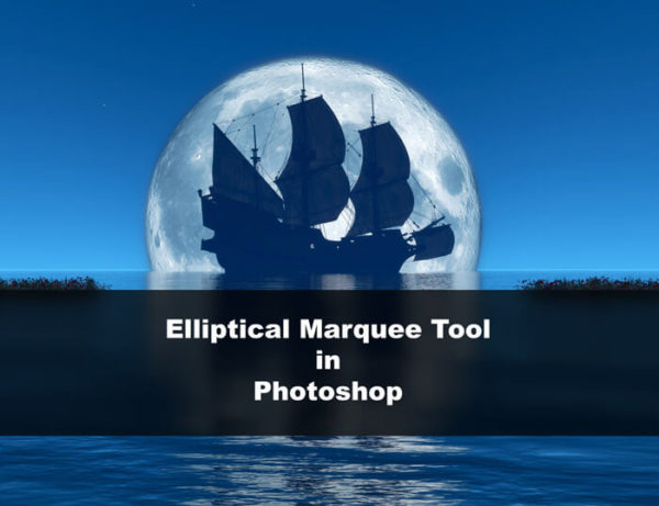 What is Rectangular and Elliptical Marquee Tool in Photoshop ...