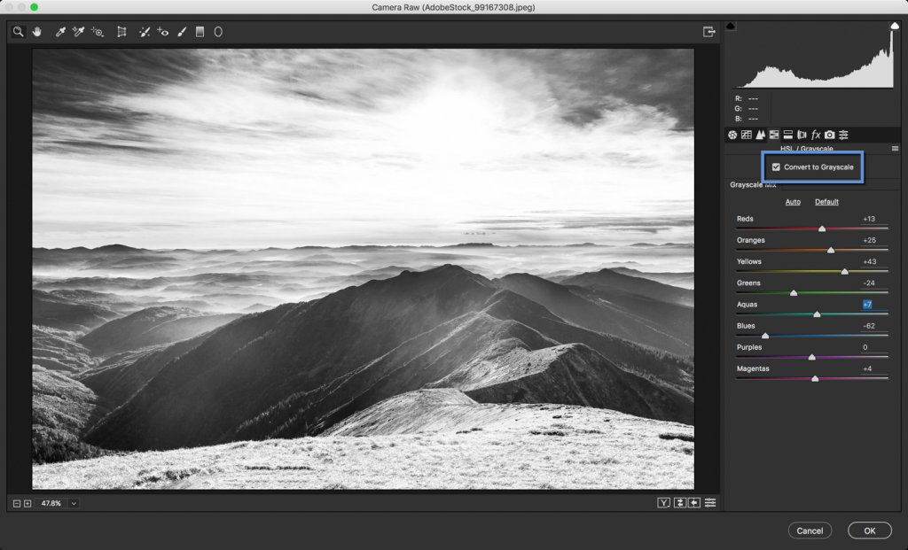 Photoshop: Camera RAW Filter - TrickyPhotoshop