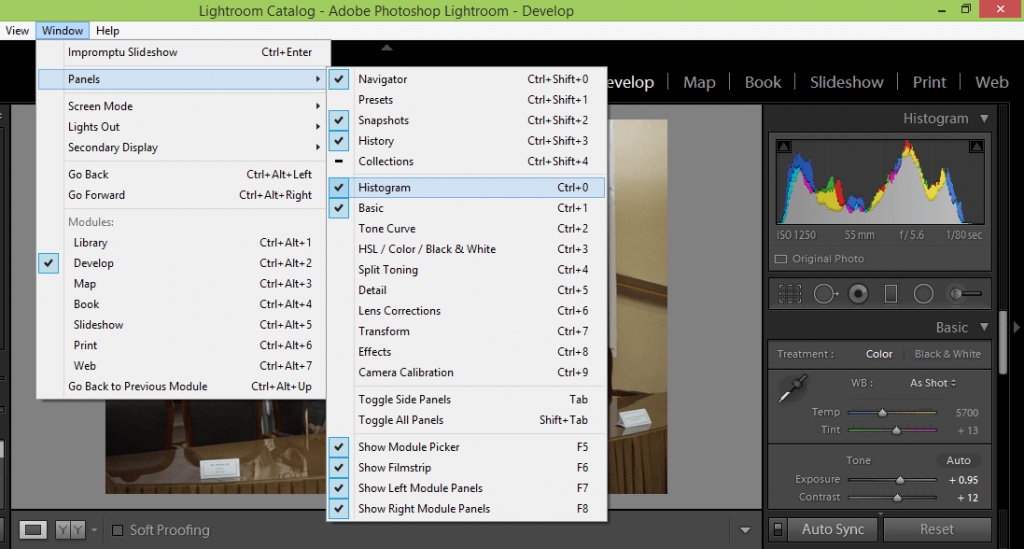 What is Histogram in Lightroom - A Simple Guide - TrickyPhotoshop