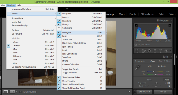 What is Histogram in Lightroom - A Simple Guide - TrickyPhotoshop