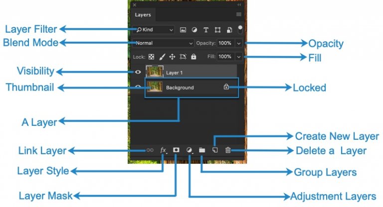 The Ultimate Guide to Layers in Photoshop - TrickyPhotoshop