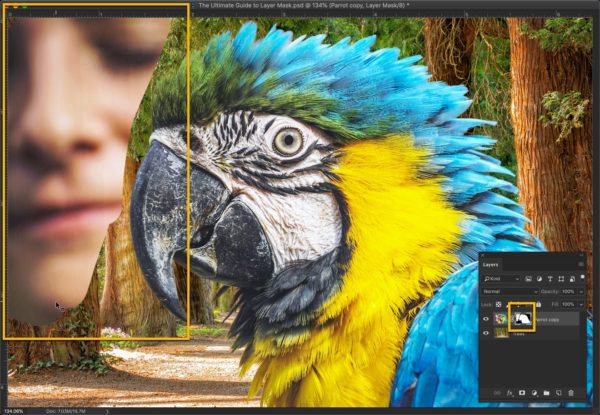 The Ultimate Guide to Layer Mask in Photoshop - TrickyPhotoshop