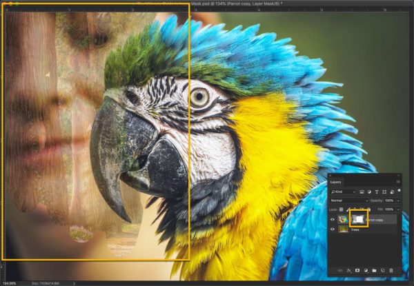 The Ultimate Guide to Layer Mask in Photoshop - TrickyPhotoshop