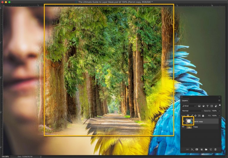 The Ultimate Guide to Layer Mask in Photoshop - TrickyPhotoshop