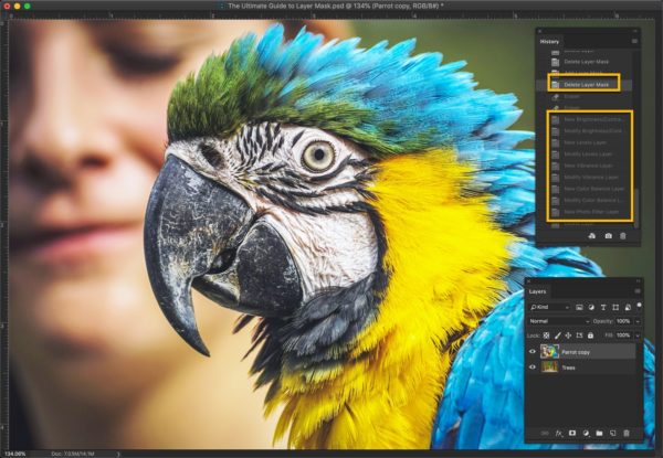 The Ultimate Guide to Layer Mask in Photoshop - TrickyPhotoshop