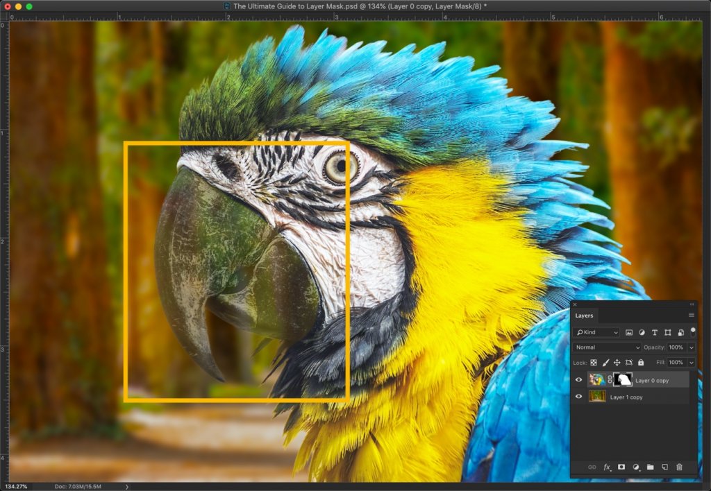 The Ultimate Guide to Layer Mask in Photoshop - TrickyPhotoshop