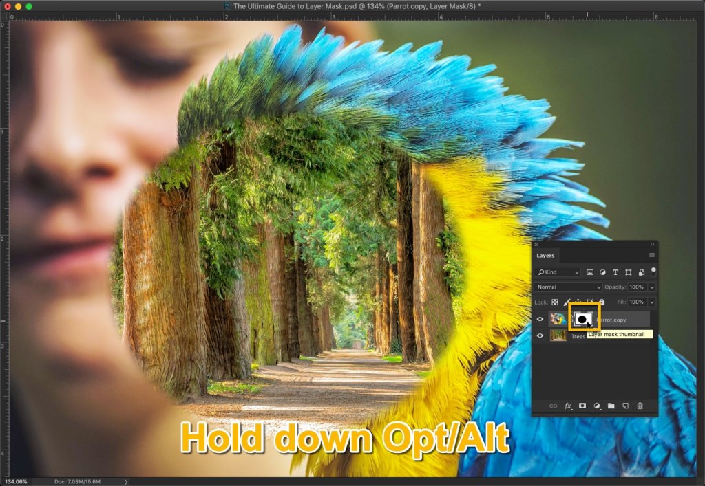The Ultimate Guide to Layer Mask in Photoshop - TrickyPhotoshop