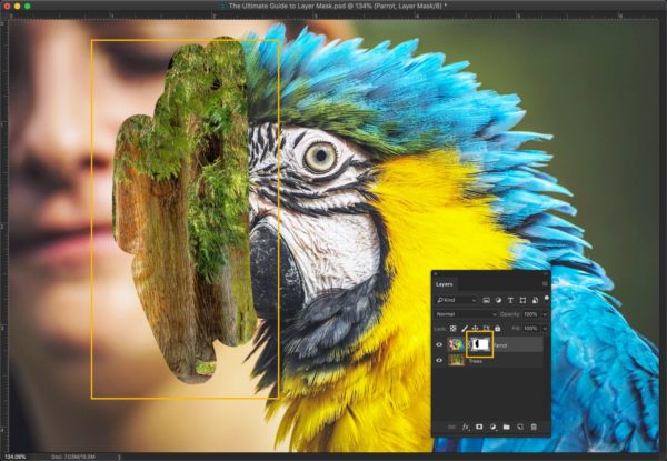 The Ultimate Guide to Layer Mask in Photoshop - TrickyPhotoshop