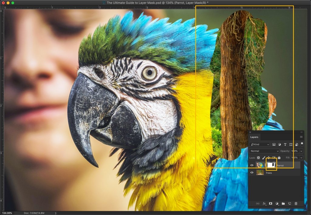 The Ultimate Guide to Layer Mask in Photoshop - TrickyPhotoshop